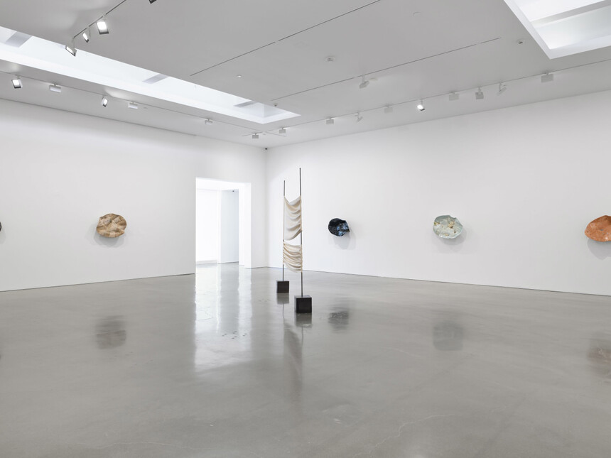 Magnetic instinct | Meer