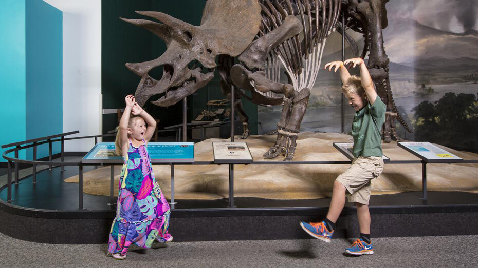 Dinosaurs & Fossils | Meer