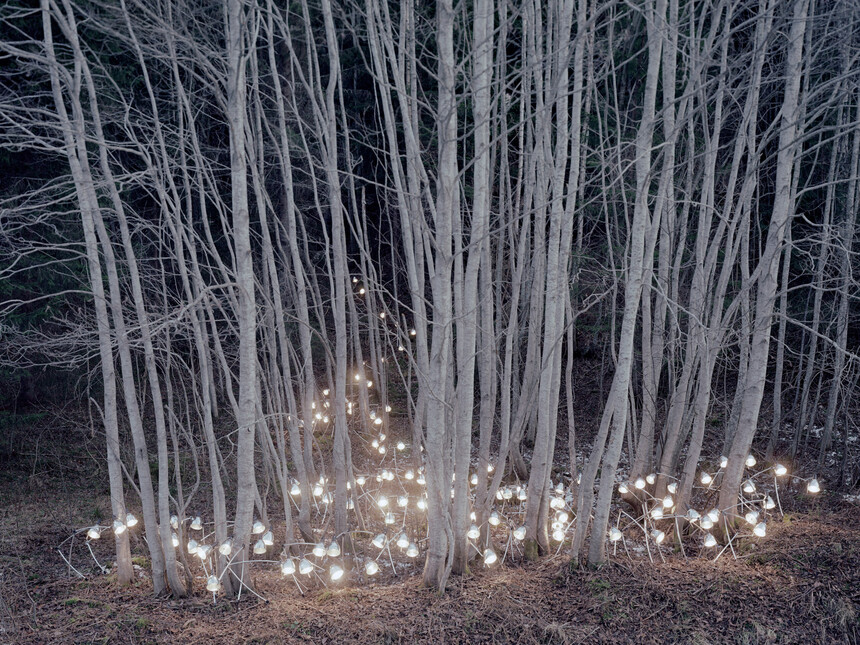 Rune Guneriussen | Meer