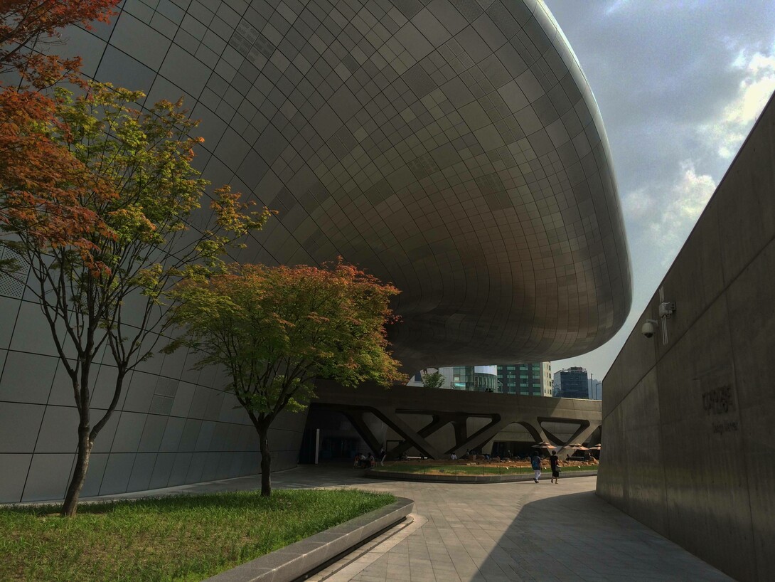 An interview with Barbara J. Zitwer | Meer