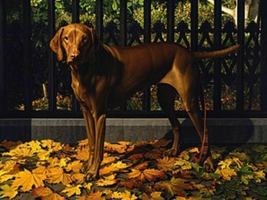 Stone Roberts | Meer