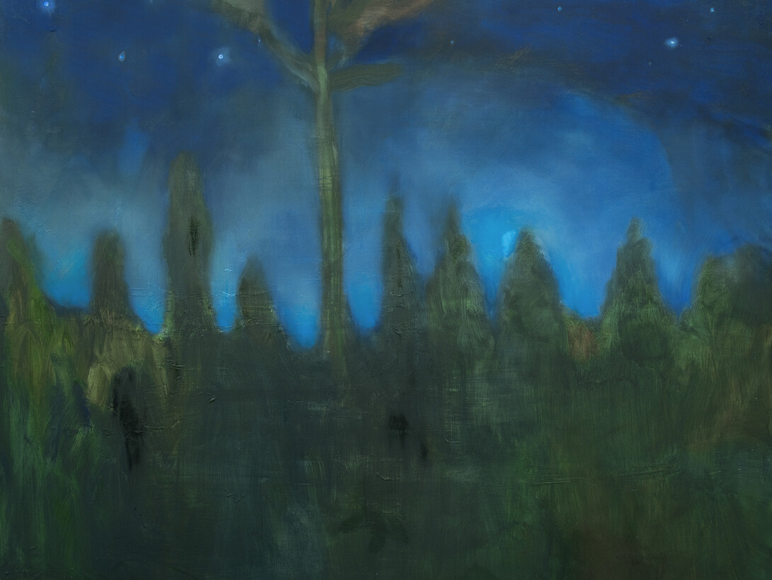 Suzy Murphy. What I Thought I Saw | Meer