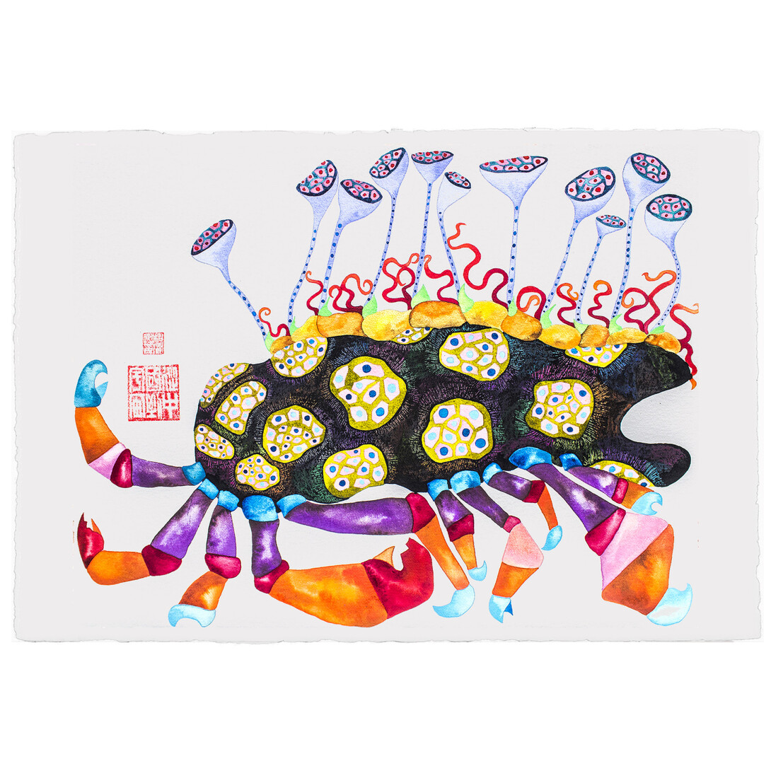 Brian Michael Reed. Elemental trance | Meer