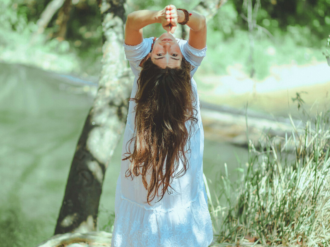 The worldwide “Transcend International” Organization | Meer