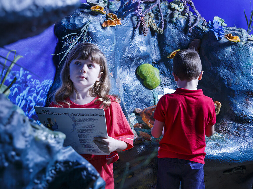 Your shipwreck adventure | Meer