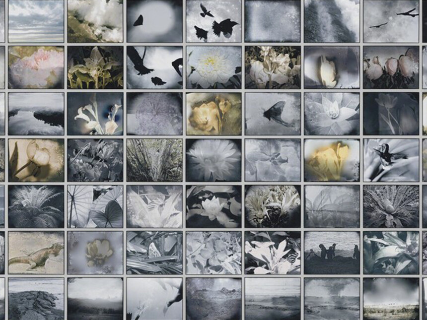 Michelle Stuart | Meer