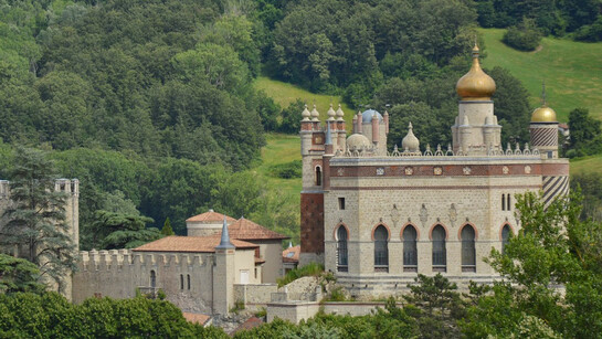 Il Conte Cesare Mattei e l'Elettromeopatia | Meer