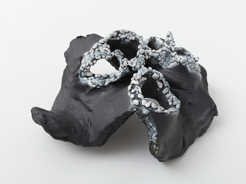 Lenora de Barros | Meer