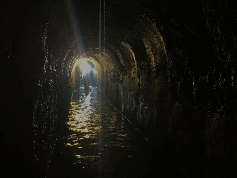 Interview with classical archaeologist Darius Arya | Meer