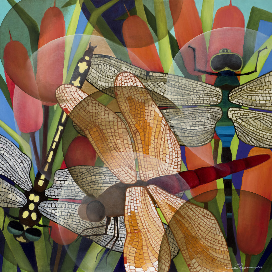 Senaka Senanayake | Meer