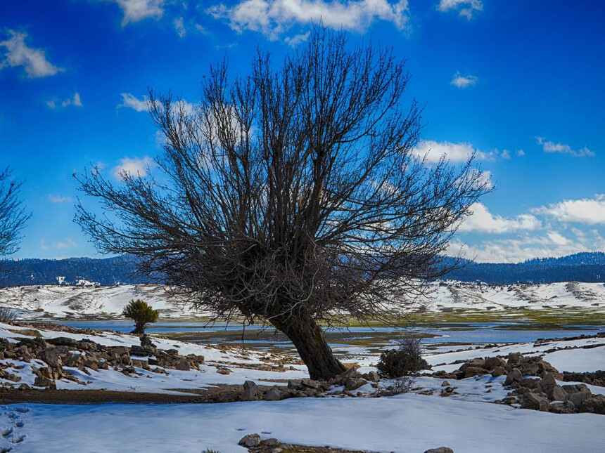 Ifrane and its lakes charm | Meer