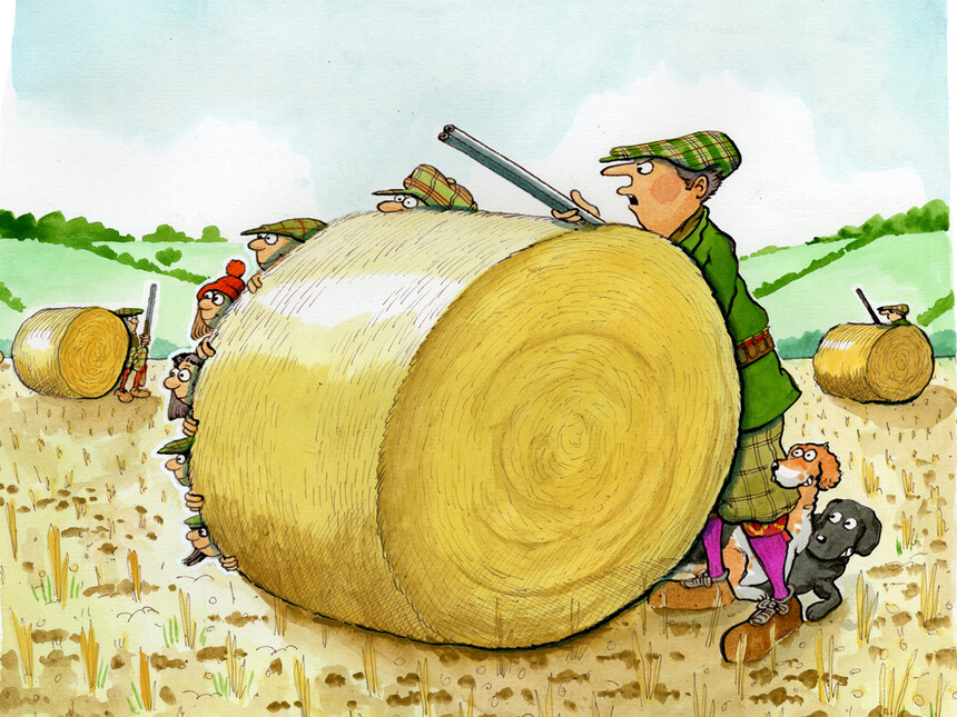 Oliver Preston | Meer