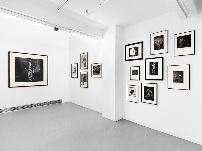 Photographs from the Collection of Steven Gelston | Meer