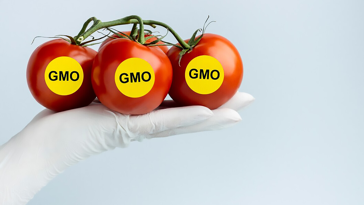 Genetically modified foods: benefits and applications | Meer