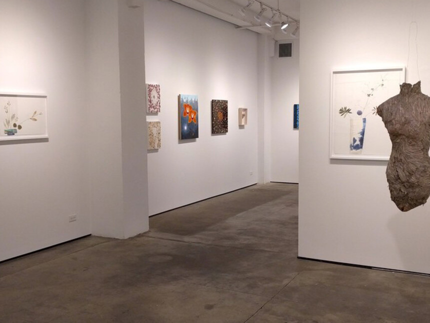 Marilla Palmer | Meer