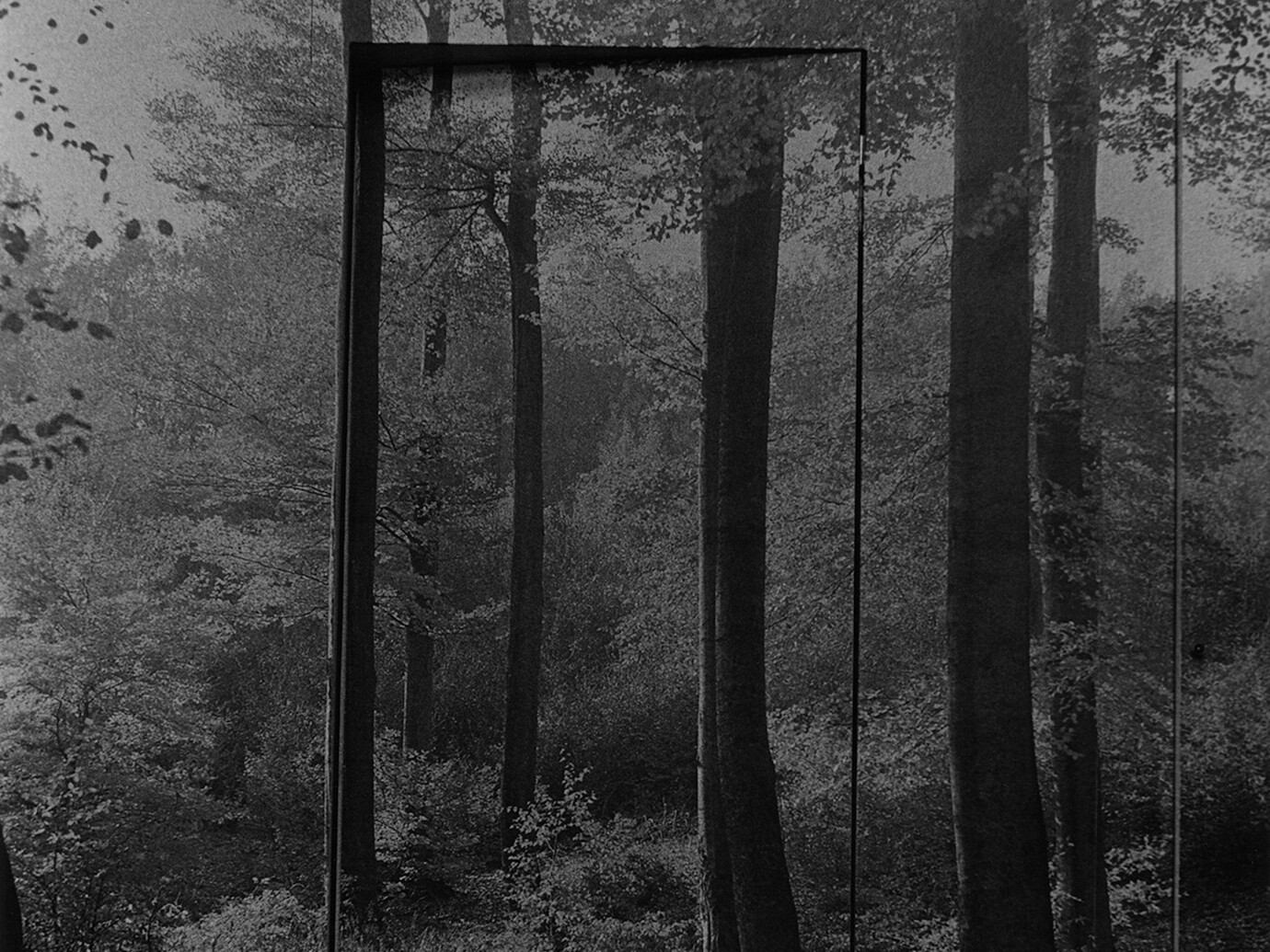 Richard Gordon | Meer