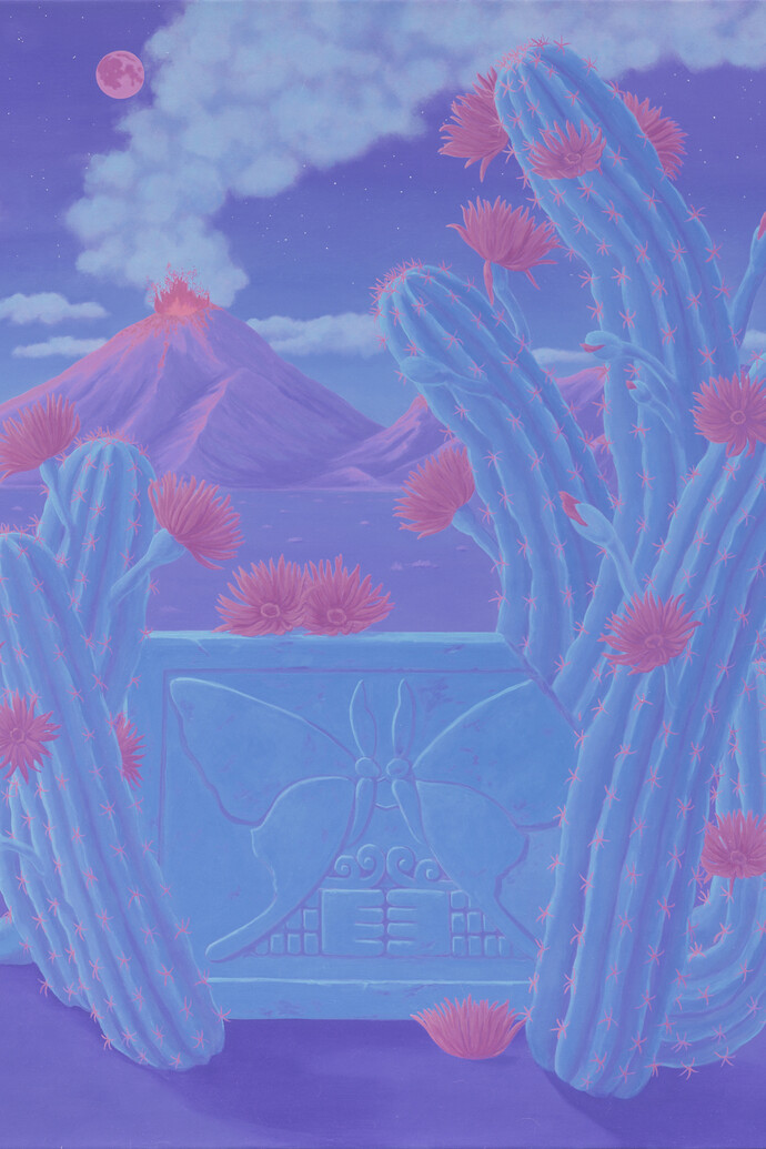 Dreaming in colour | Meer