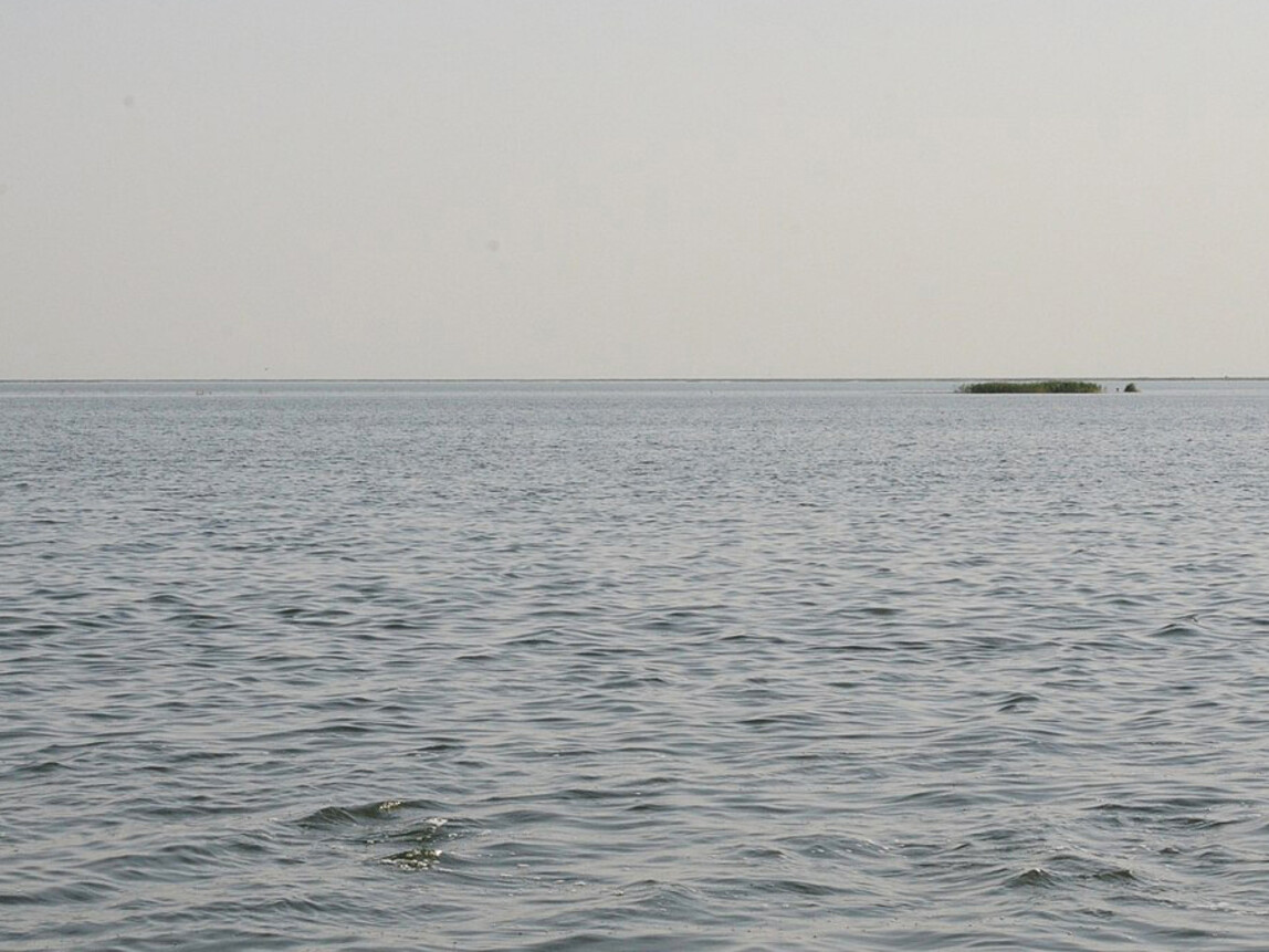 The Marshes and "Marshmen" of Southern Iraq | Meer