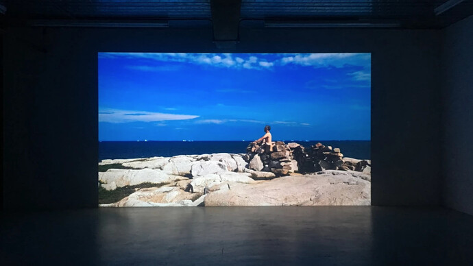 Marcus Coates | Meer