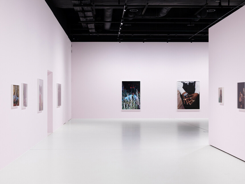 Wish this was real | Meer