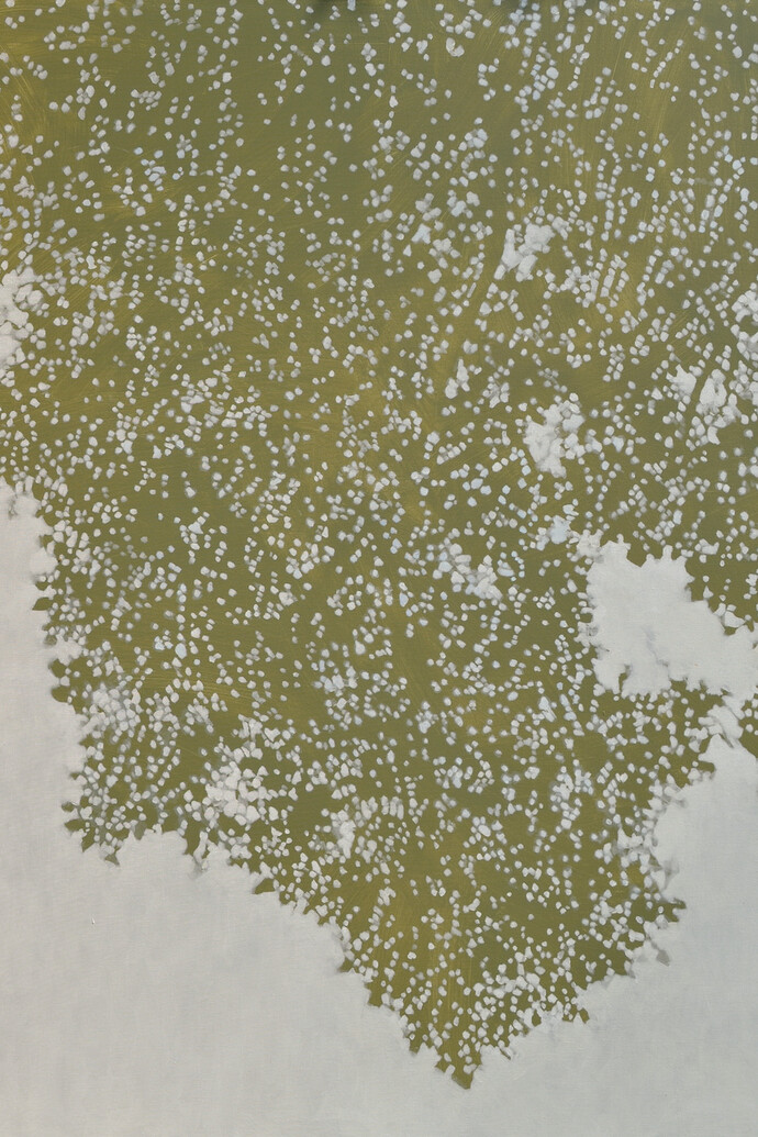 Silhouettes and shadows | Meer