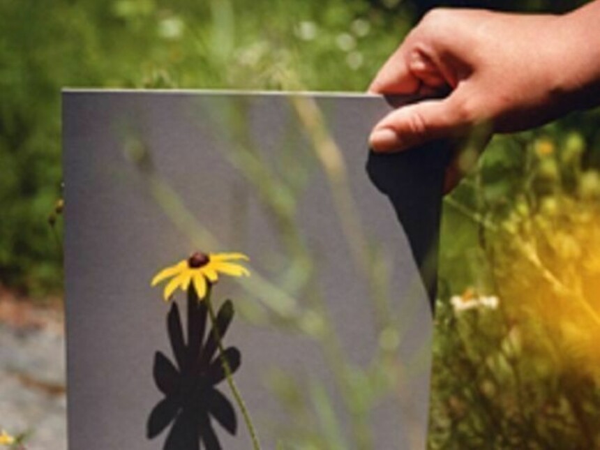 Bryan Graf. Broken Lattice | Meer