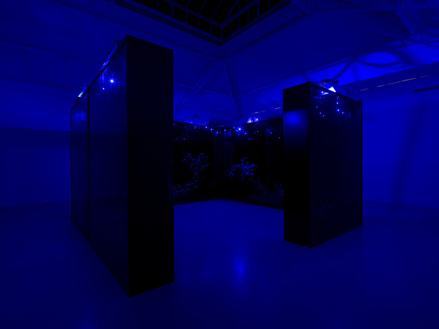 Hicham Berrada. Paysages a circadiens | Meer