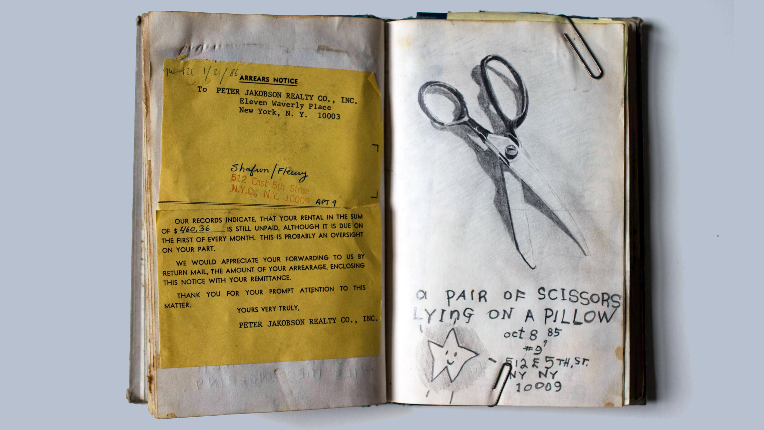 Nigel Shafran | Meer