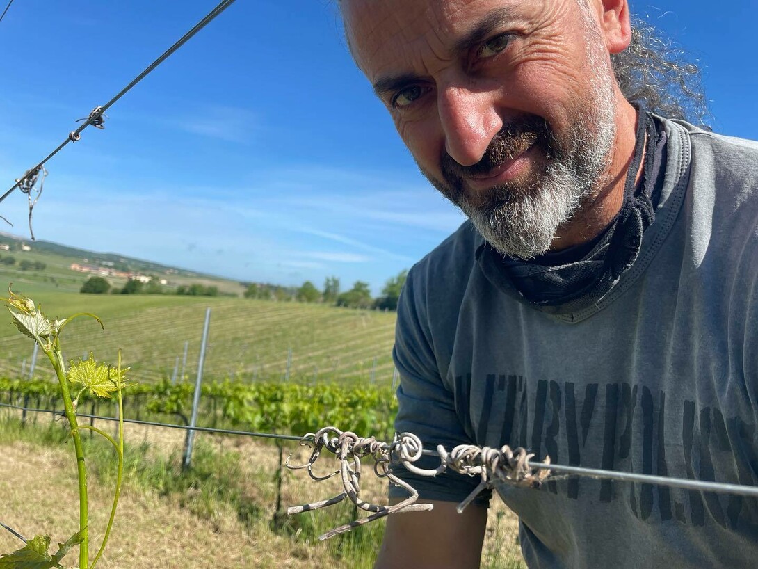 La Cignozza Winery: in vino veritas | Meer