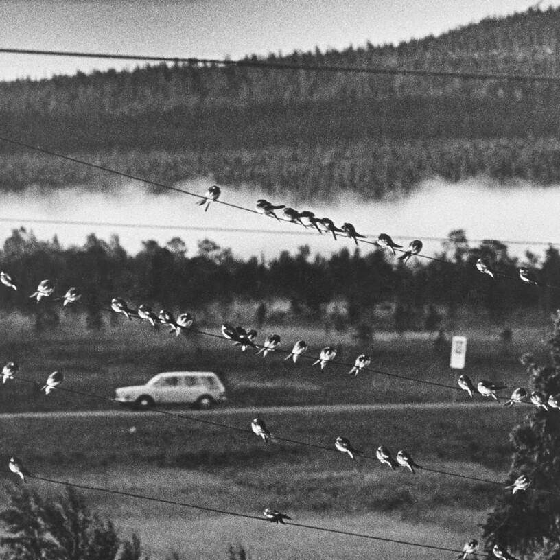 Atlas of Emotions | Meer