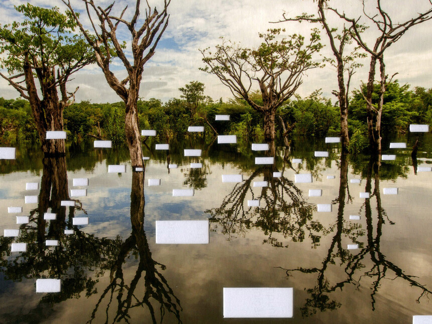 Postcards from Brazil | Meer