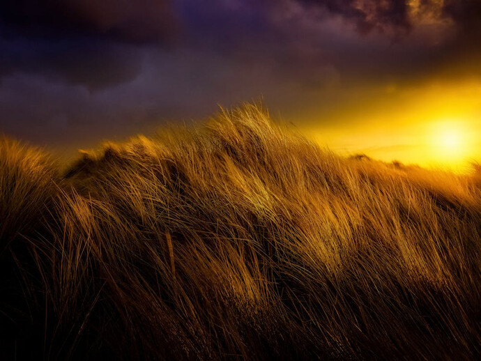 Solving impasses and navigating limits | Meer