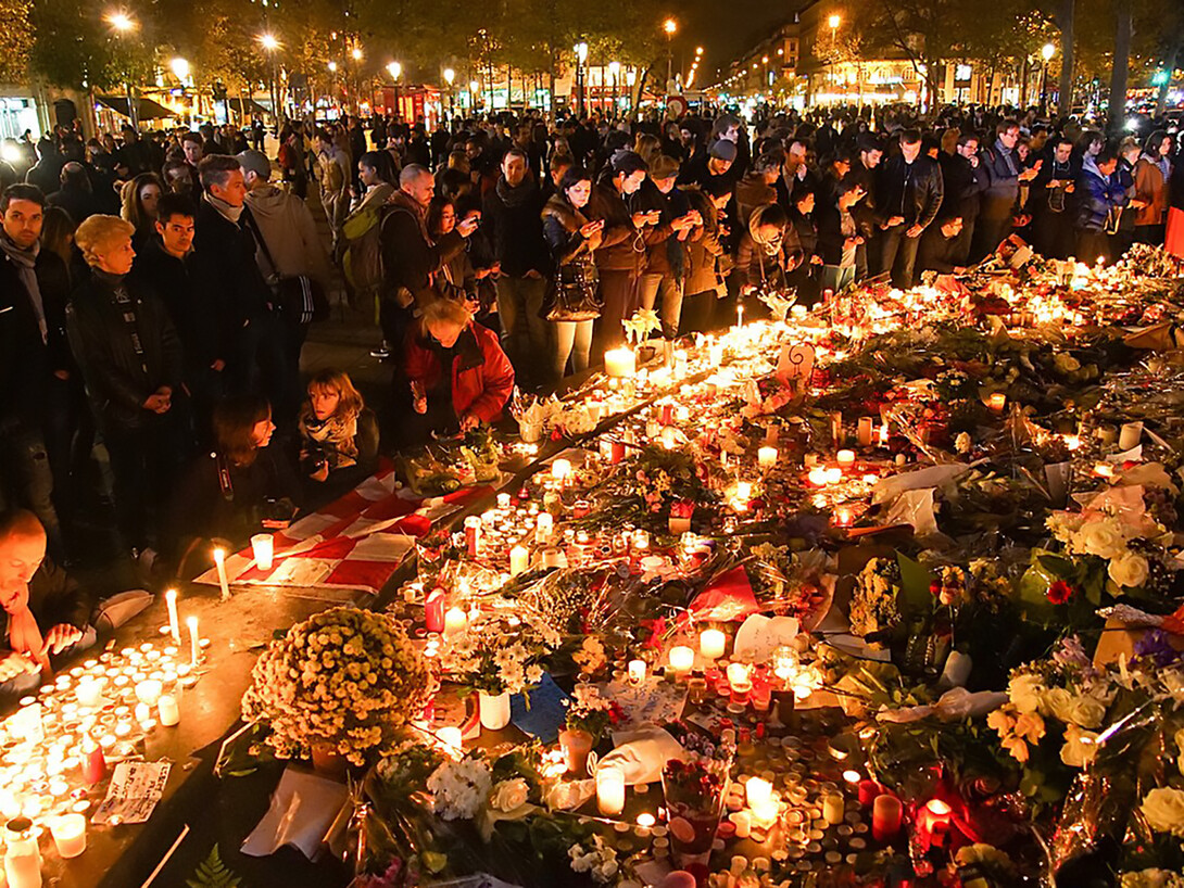 Chia Pao-yu's Sequel: Year of the Horseshoe Bat—in Exile | Meer