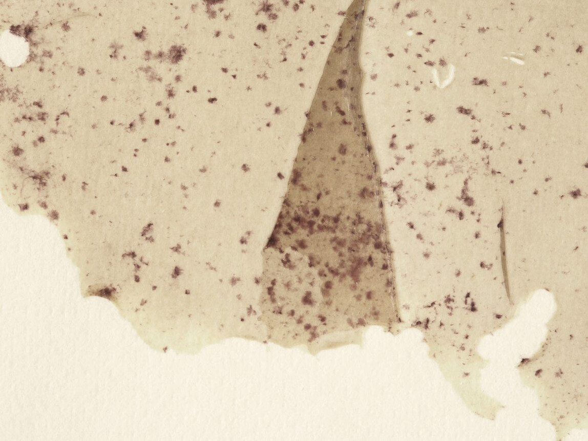 Kathleen Mary Drew-Baker | Meer