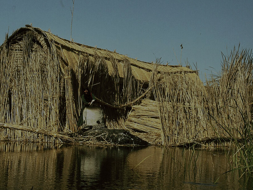 The Marshes and "Marshmen" of Southern Iraq | Meer