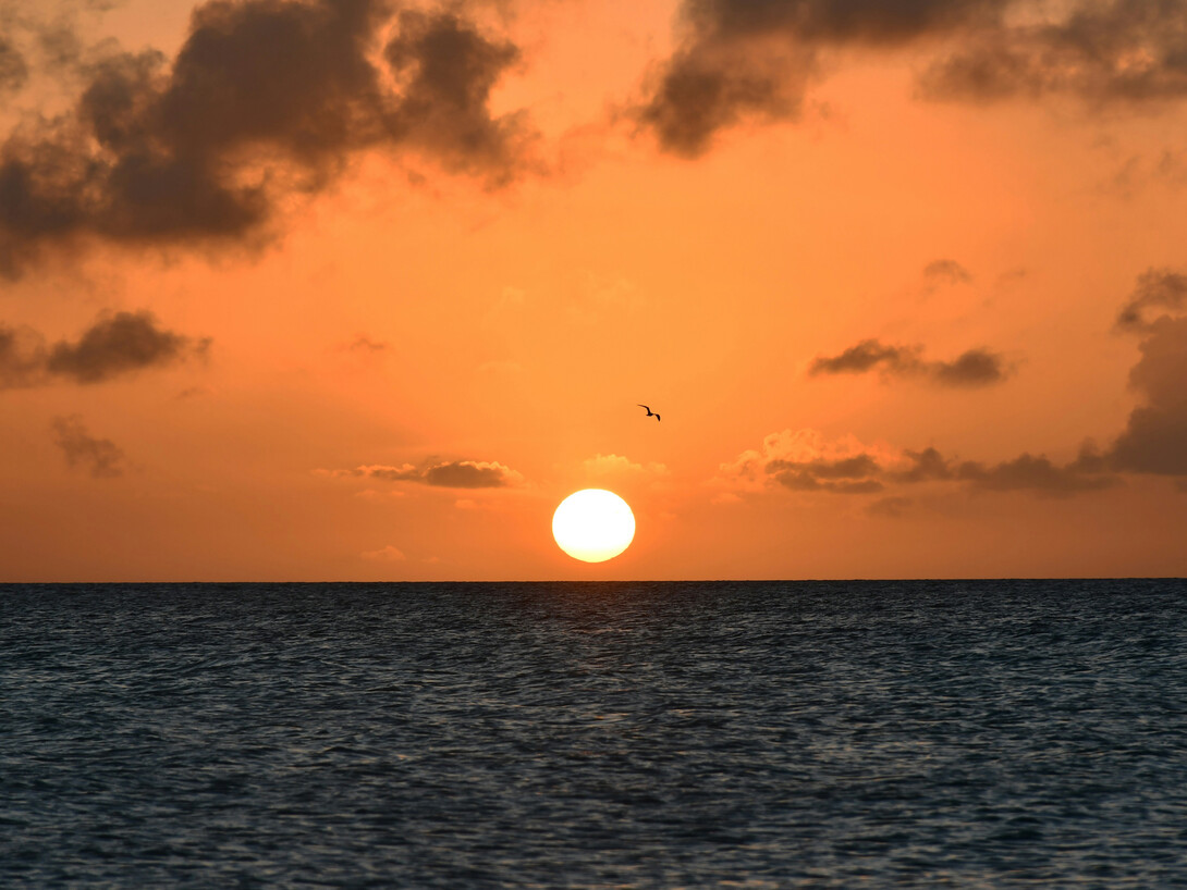 Los Roques: ¿un archipiélago o unas simples rocas? | Meer