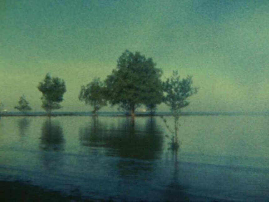 55. Biennale. Simryn Gill | Meer