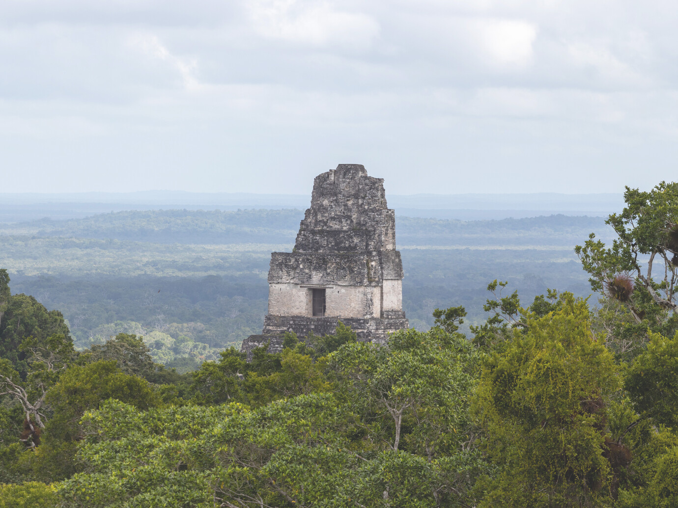 Los mayas de Tikal | Meer