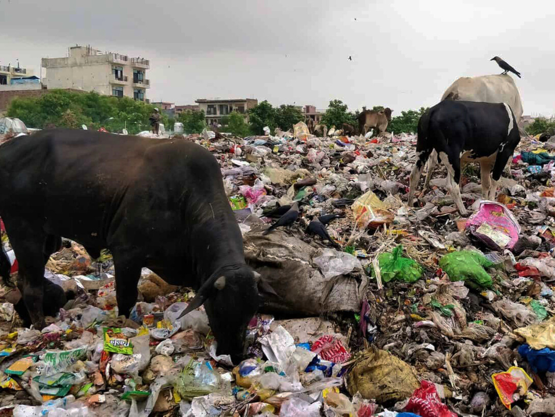 Using enzymes to biodegrade plastics | Meer