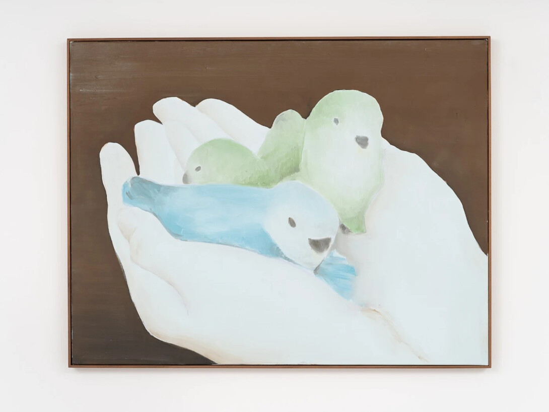 Ciarán Murphy. This appear | Meer