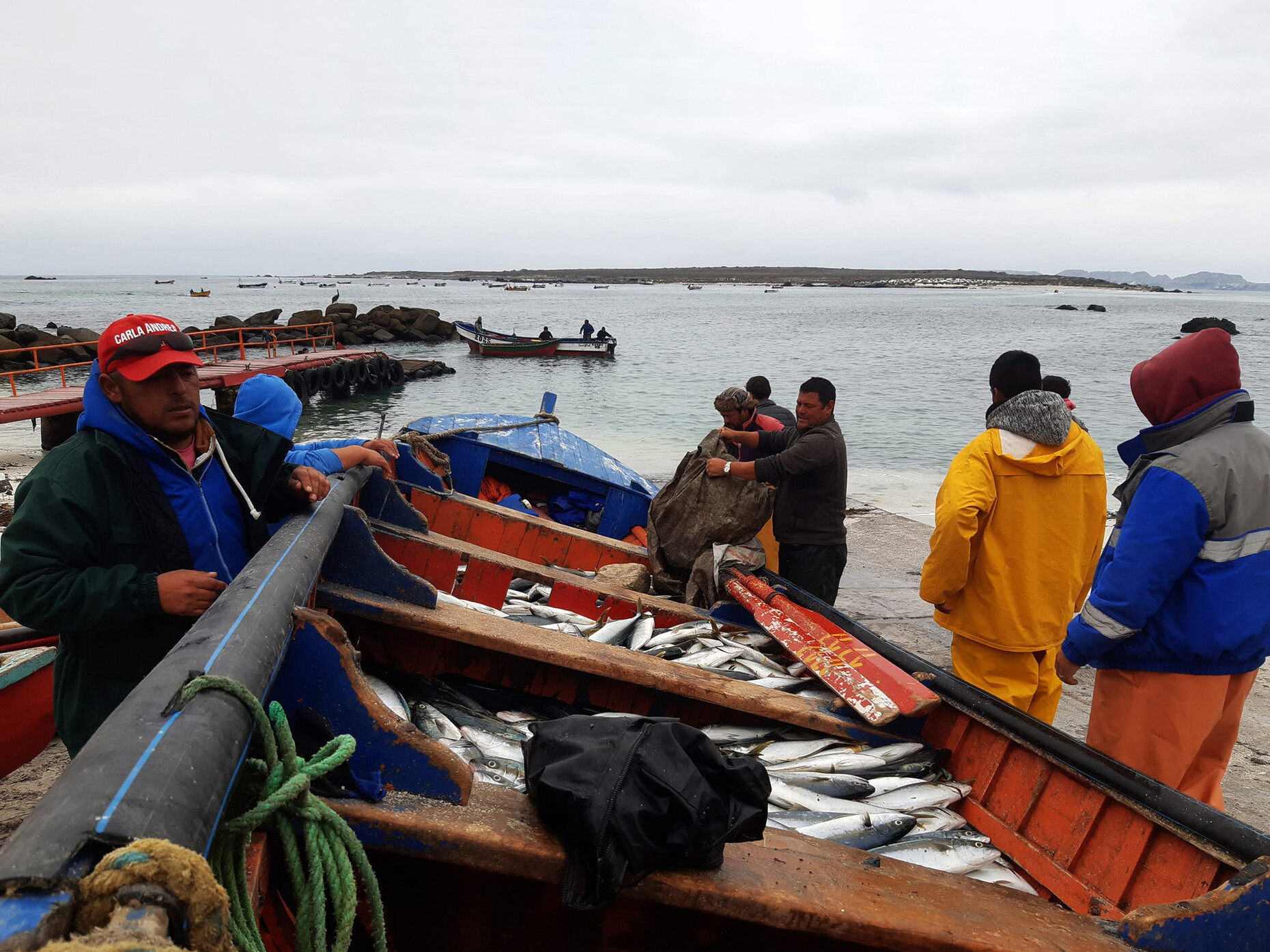 Punta de Choros: un lugar único frente al océano pacífico | Meer