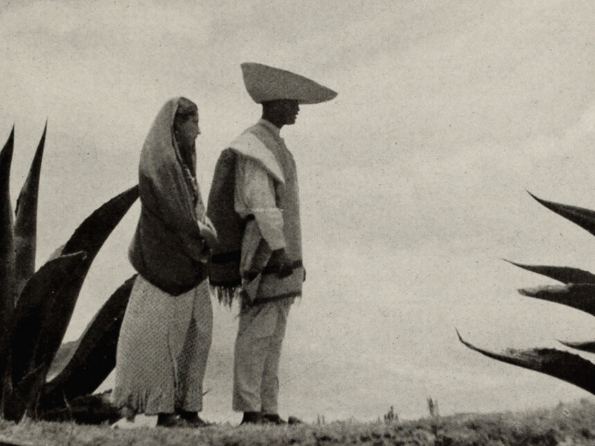 Mixografia Summer Screenings | Meer