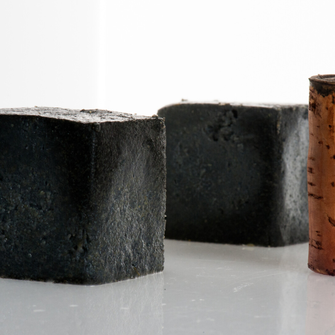 Sean Rogg. The Waldorf Project | Meer