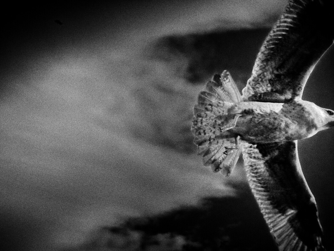 Eamonn Doyle. On & one | Meer