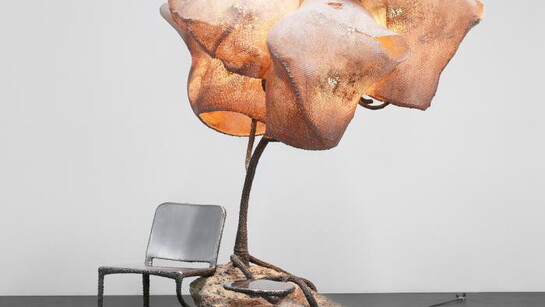 Nacho Carbonell. Forest | Meer