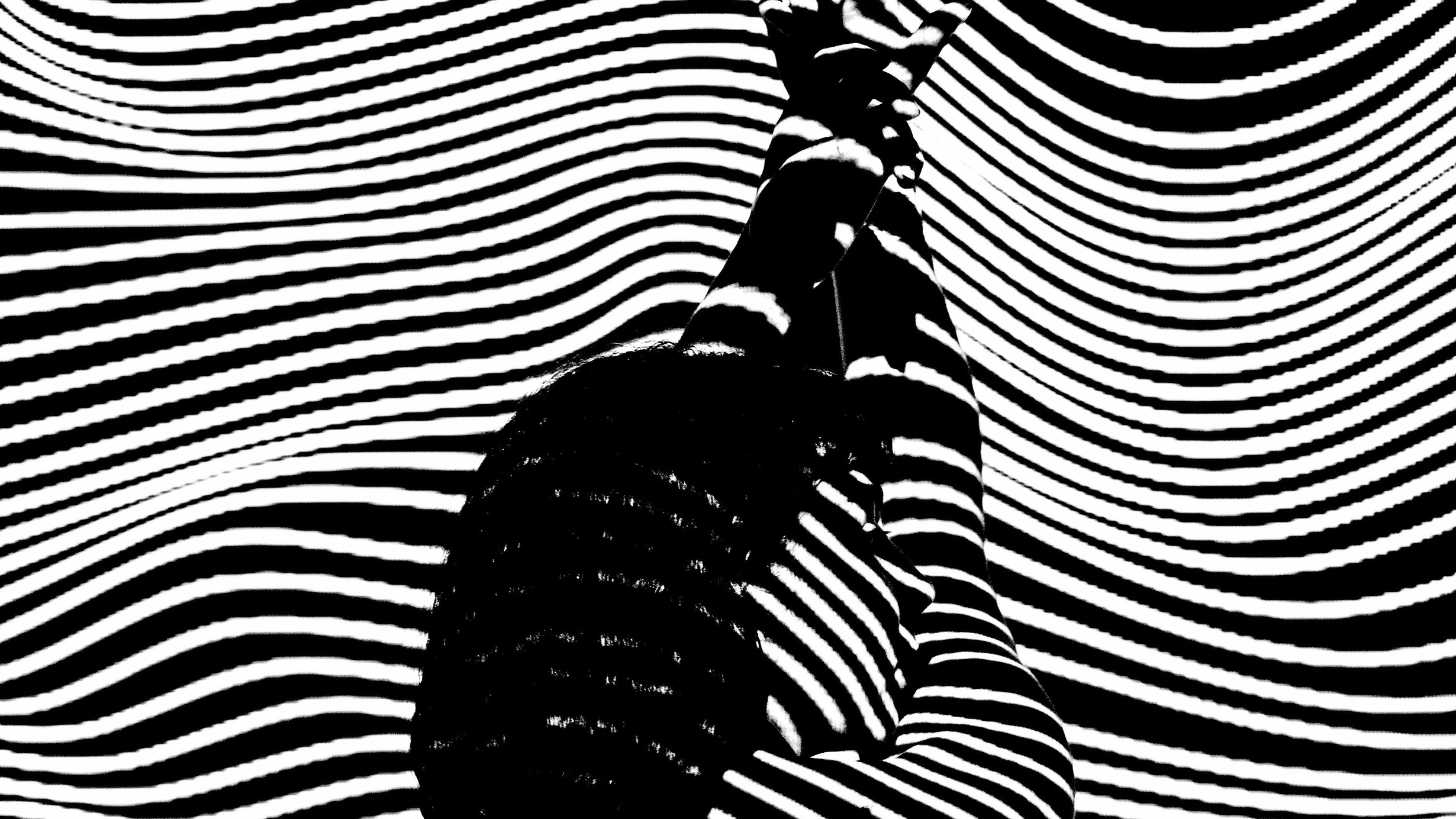 Percepción, cultura y realidad | Meer