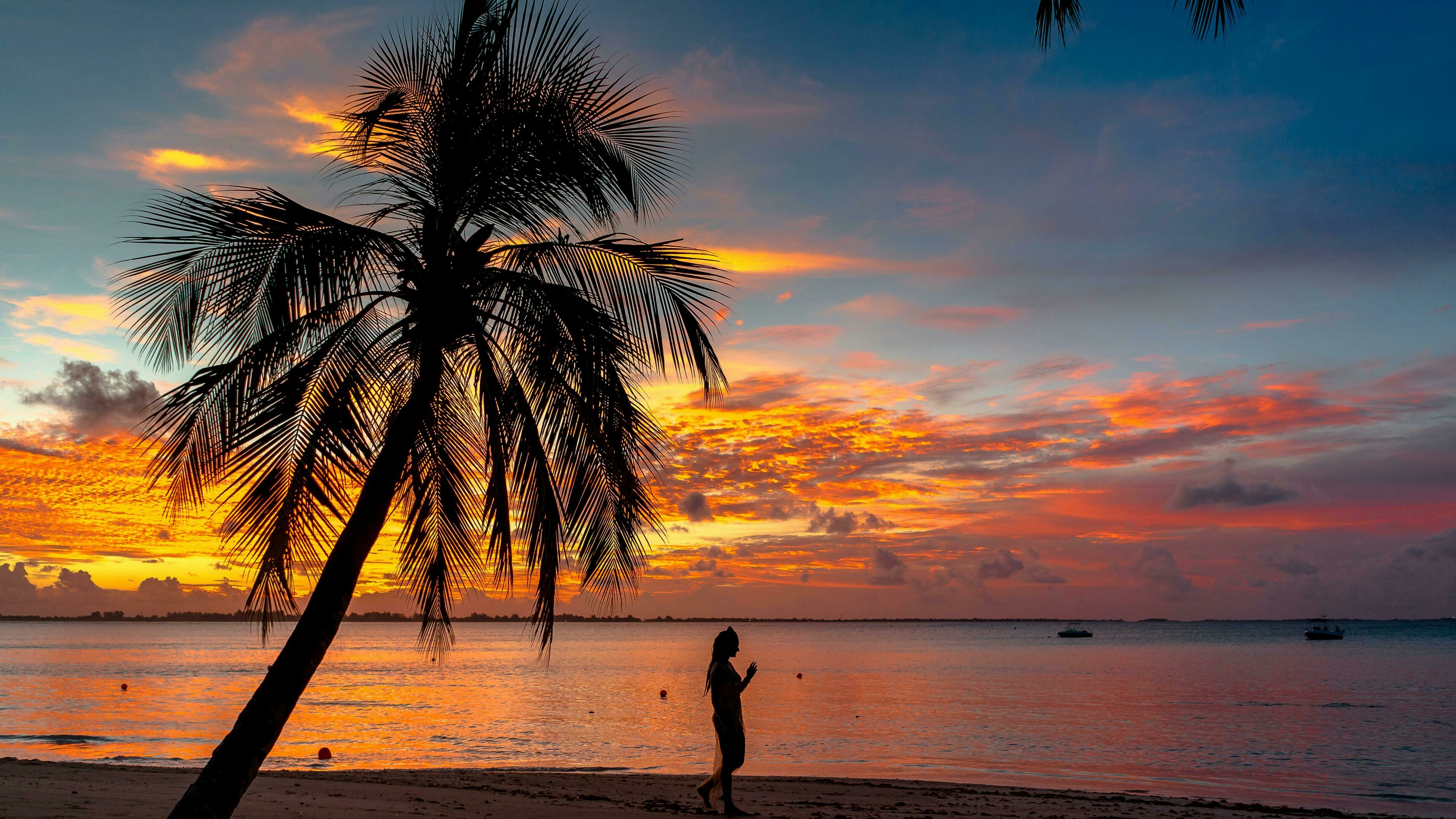 Maldives magic: diving with sharks & island dreams | Meer