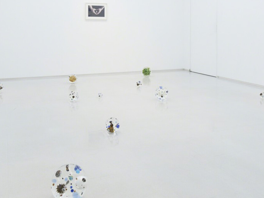 Satoshi Hirose | Meer