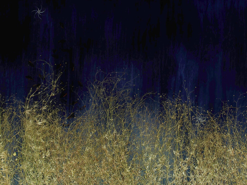 The length of daylight | Meer