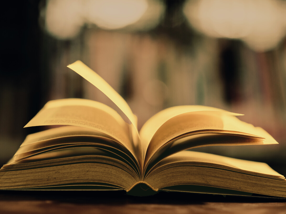 Vargas Llosa y García Márquez se citan en el infierno | Meer